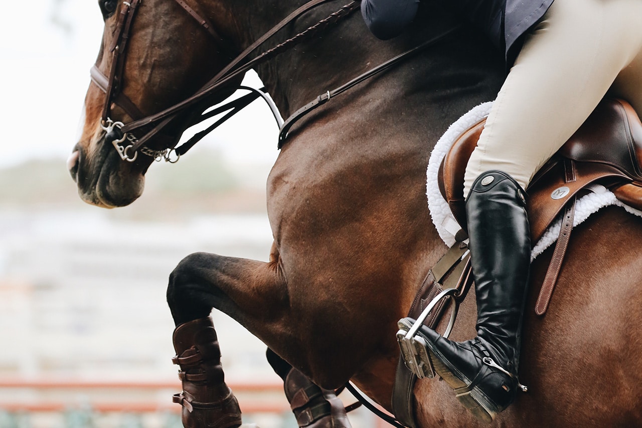 Produits vétérinaires d'hygiène et de soin du cheval → Produtis ...