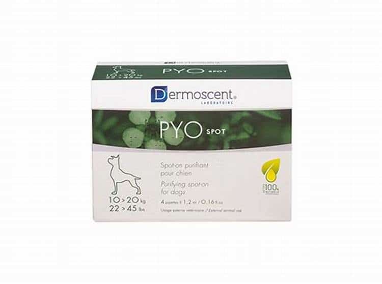 Dermoscent PYOspot® Chien 10-20kg 4 pipettes | Spot-on purifiant pour ...